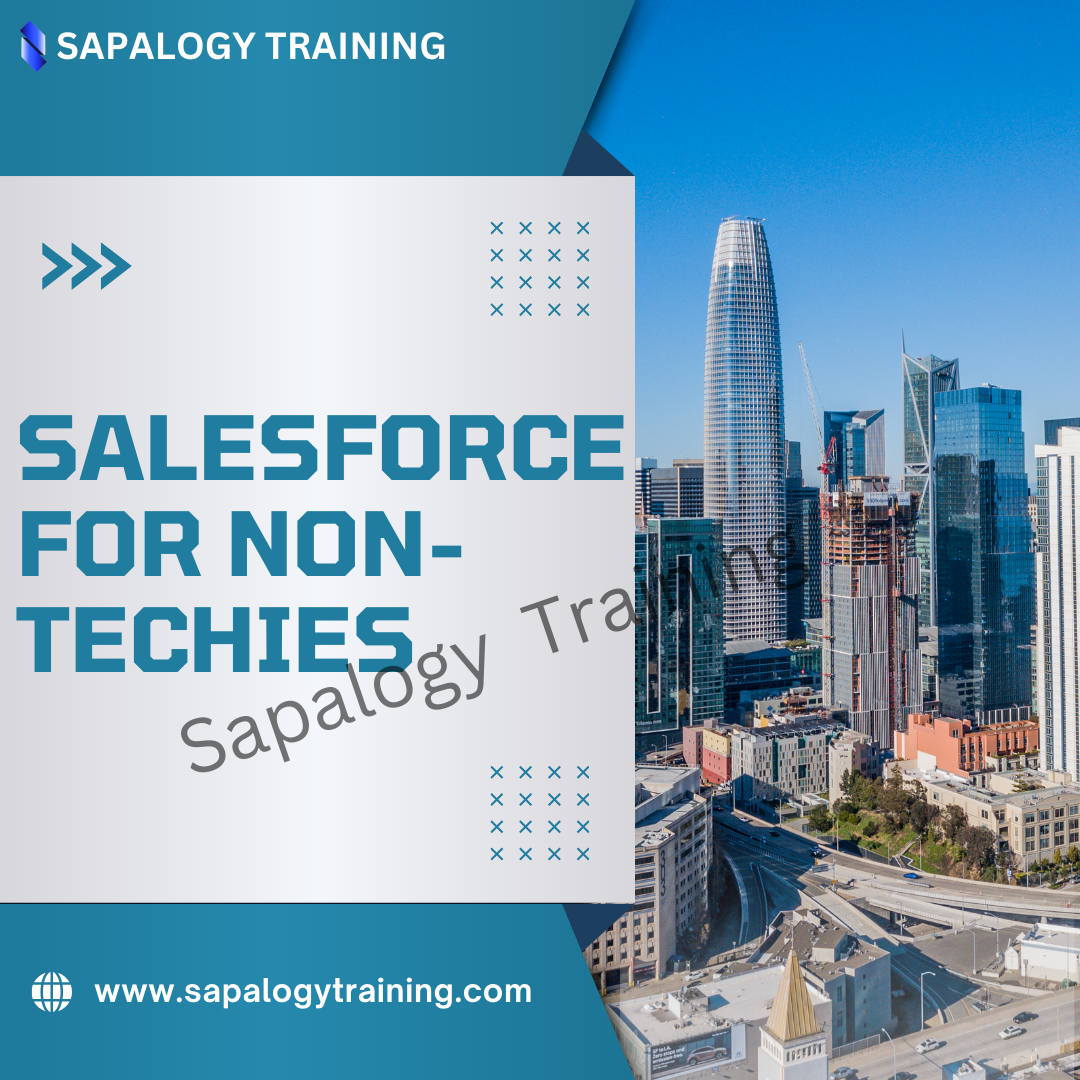 Salesforce for Non-Techies. Salesforce for Non-Techies | by ...