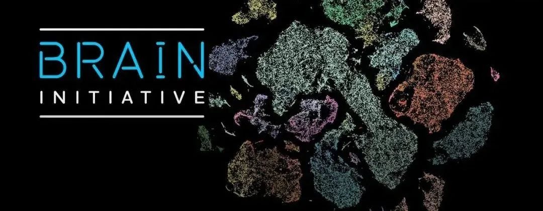 Brain Initiative 2.0! Invested 500 Million US dollars to Draw the Most ...