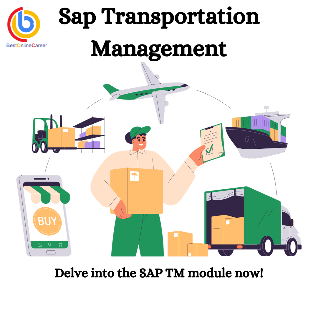 Mastering SAP TM: A Comprehensive Guide to SAP Transportation Management | by Bestonlinecareer ...