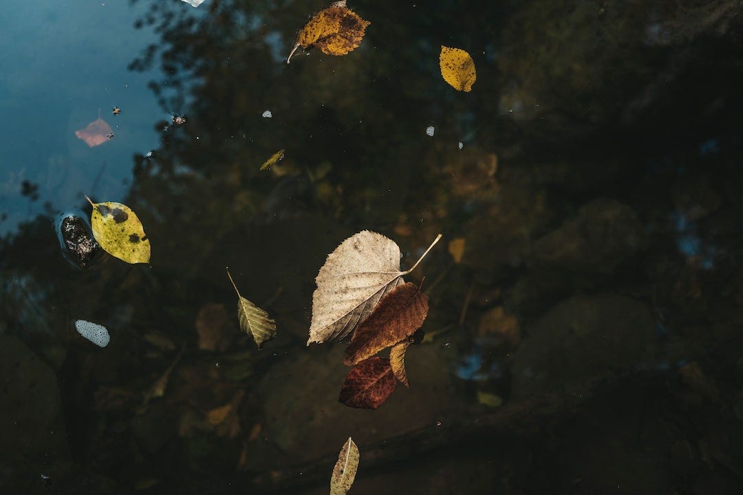 Our suffering unites us. Photo by Teslariu Mihai on Unsplash | by Amit ...