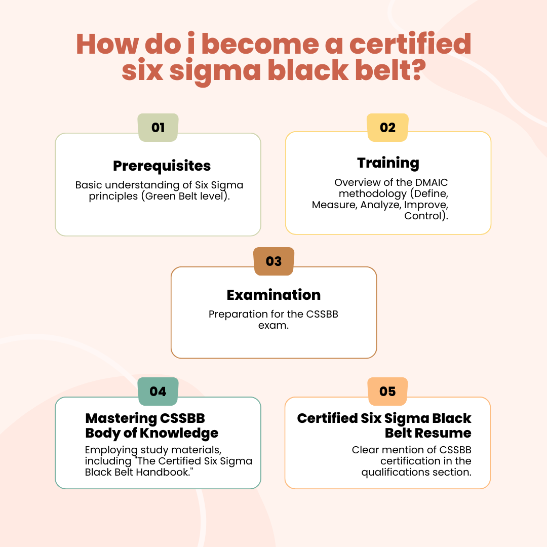 Navigating Six Sigma Excellence: The Certified Six Sigma Black Belt ...