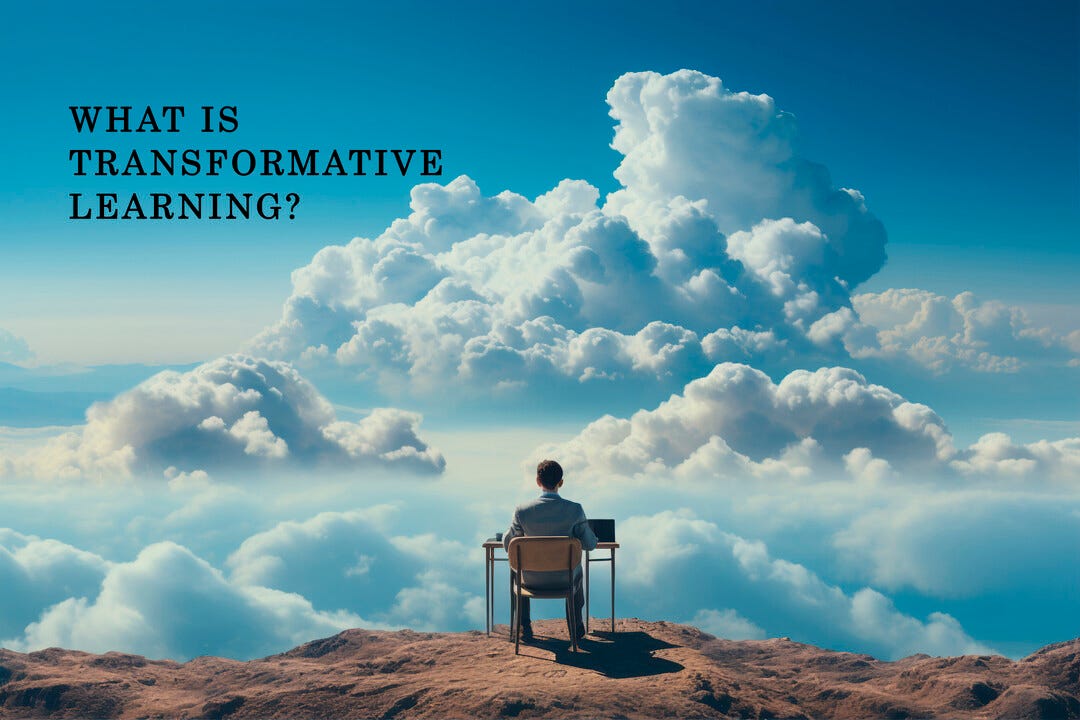 WHAT IS TRANSFORMATIVE LEARNING? | by Eva By | May, 2024 | Medium