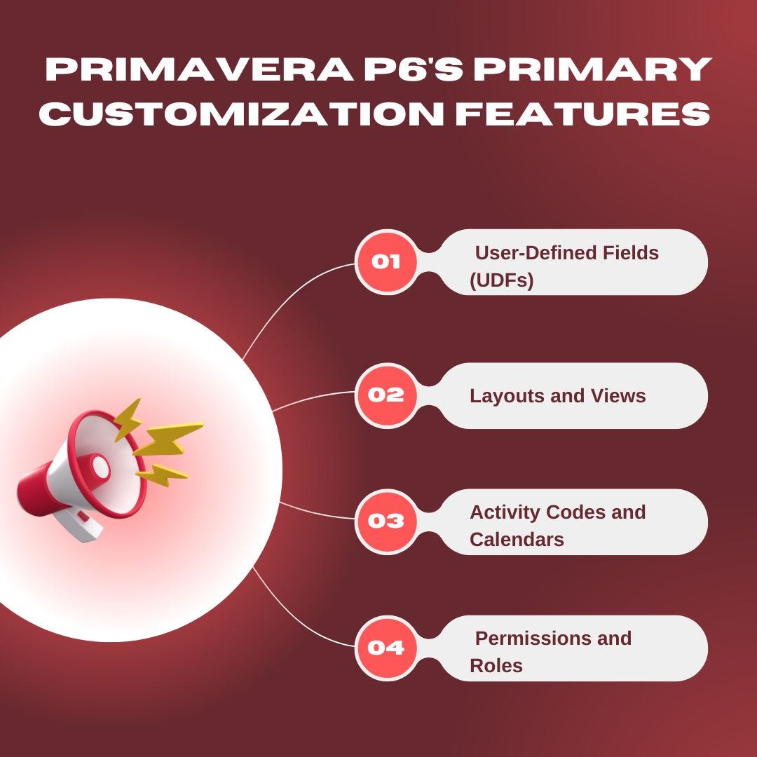 Unlocking Project Management Potential: Customizing Oracle Primavera P6 ...