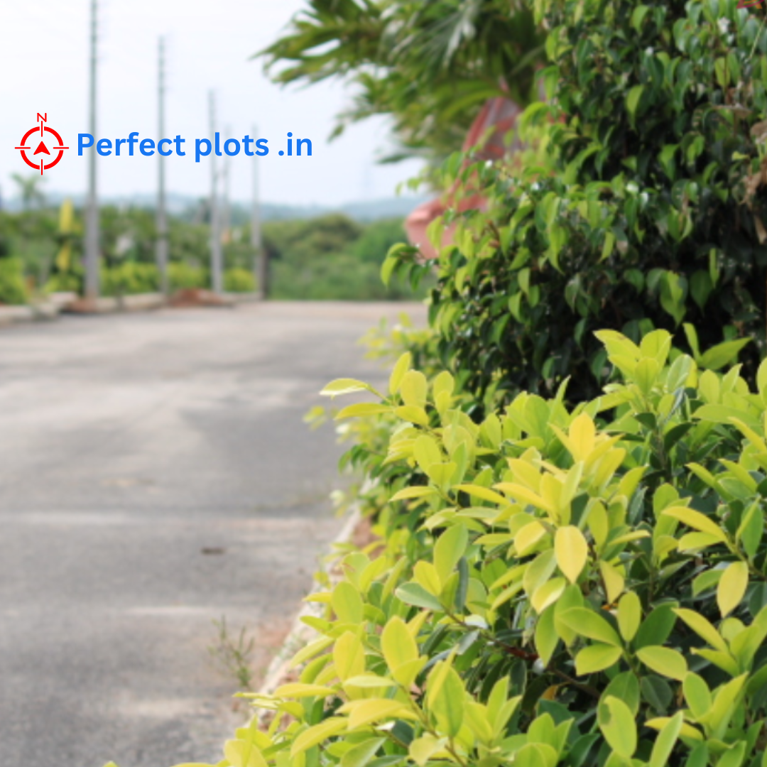 Perfect Plots: Cultivating Your Dream with Premium Open Plots | by ...