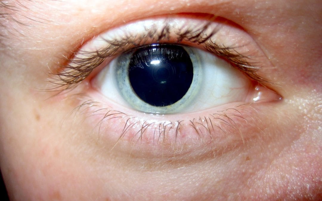 Why Narcissists’ Eyes Turn Black: The Predatory Gaze, Pupil Dilation ...