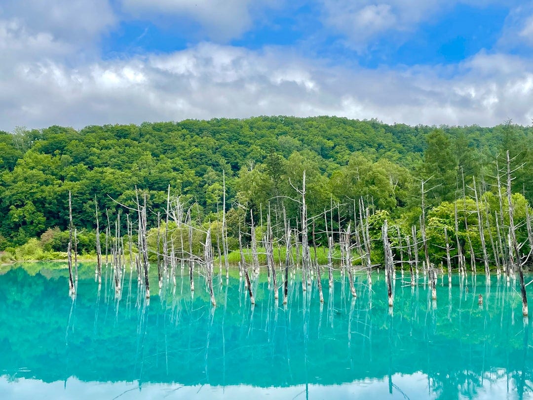 Remarkably Easy: AI Planned My 14-Day Hokkaido Itinerary | by Lim Yian ...