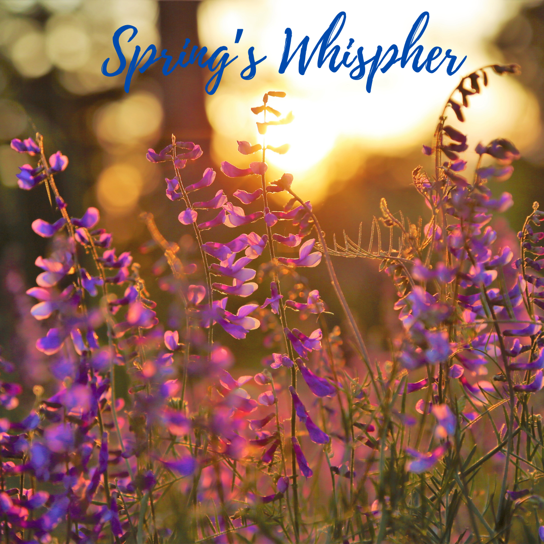 Spring’s Whisper. Let’s bring the Charm and sweetness of… | by Saba ...