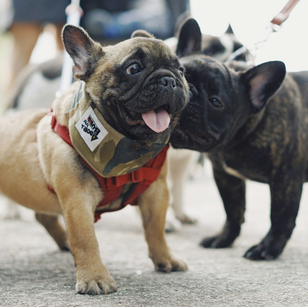 How to Find Lasting Love. Using the Confucius Power of Cheng to… | by Soft Power Path by ...
