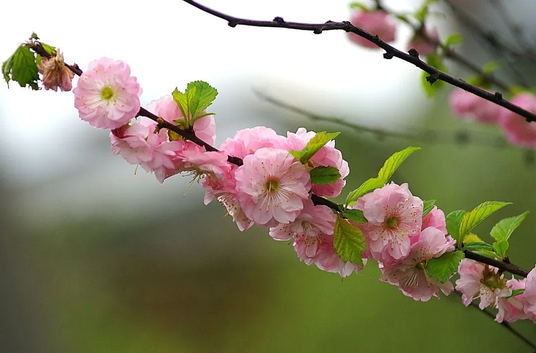 The more a woman "craves" these things of yours, it means that she ...