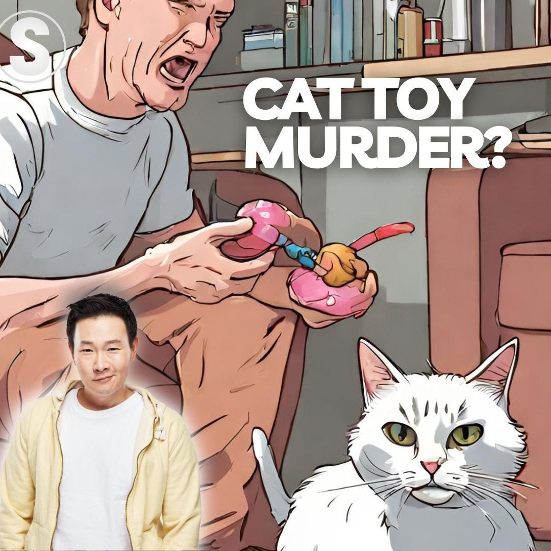 Lawyer and Politician’s Son Murders Wife with Cat Toy? - Sean Lim - Medium