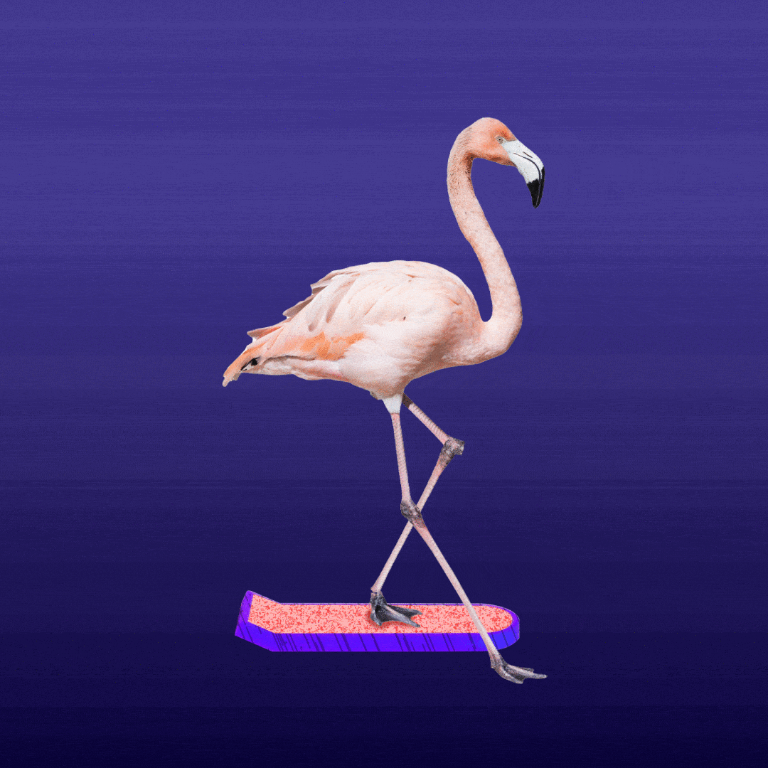 Flamingo DAO: An NFT Collective. Today, we’re introducing Flamingo, the ...