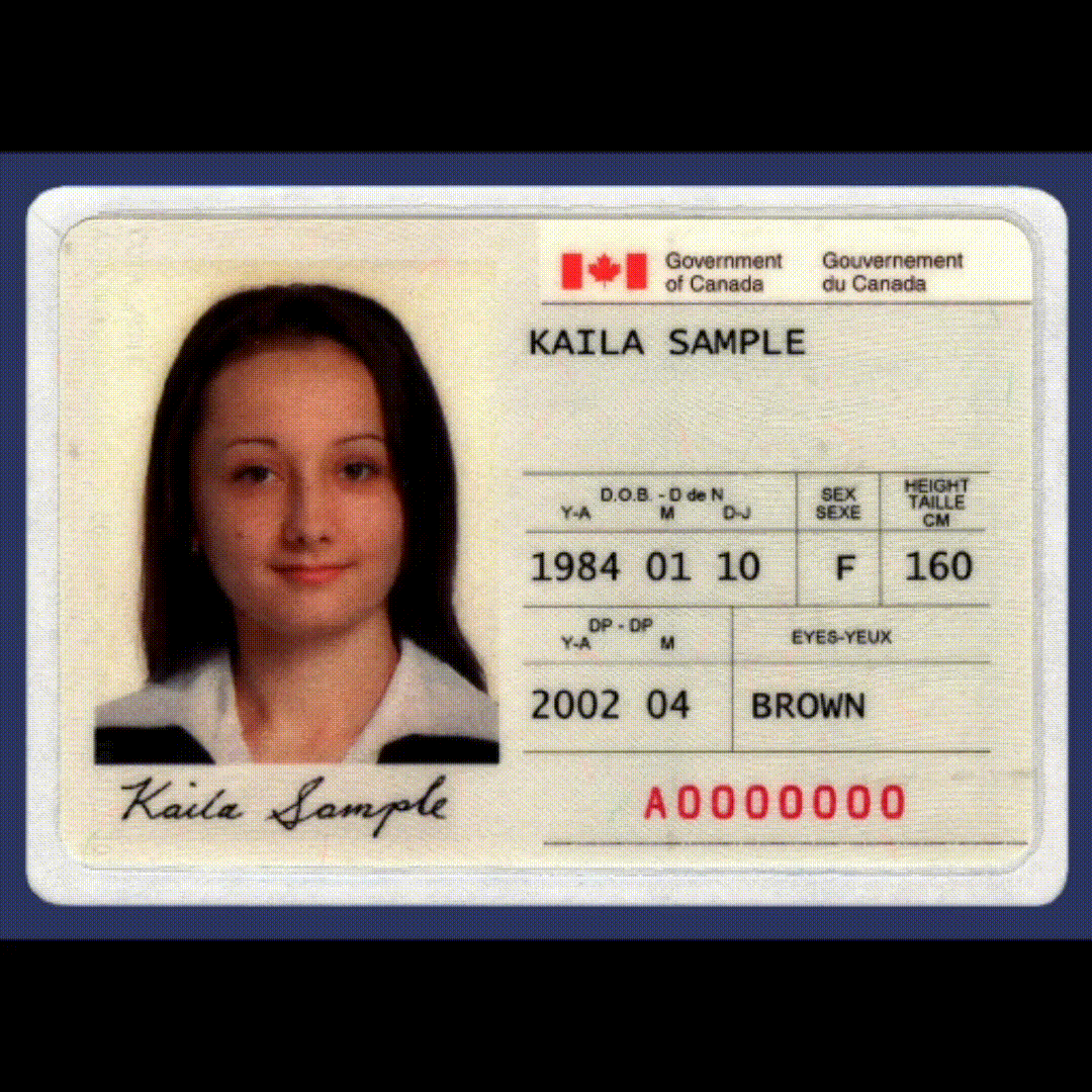 Harnessing Generative AI for Augmentation of ID Document Imagery | by ...