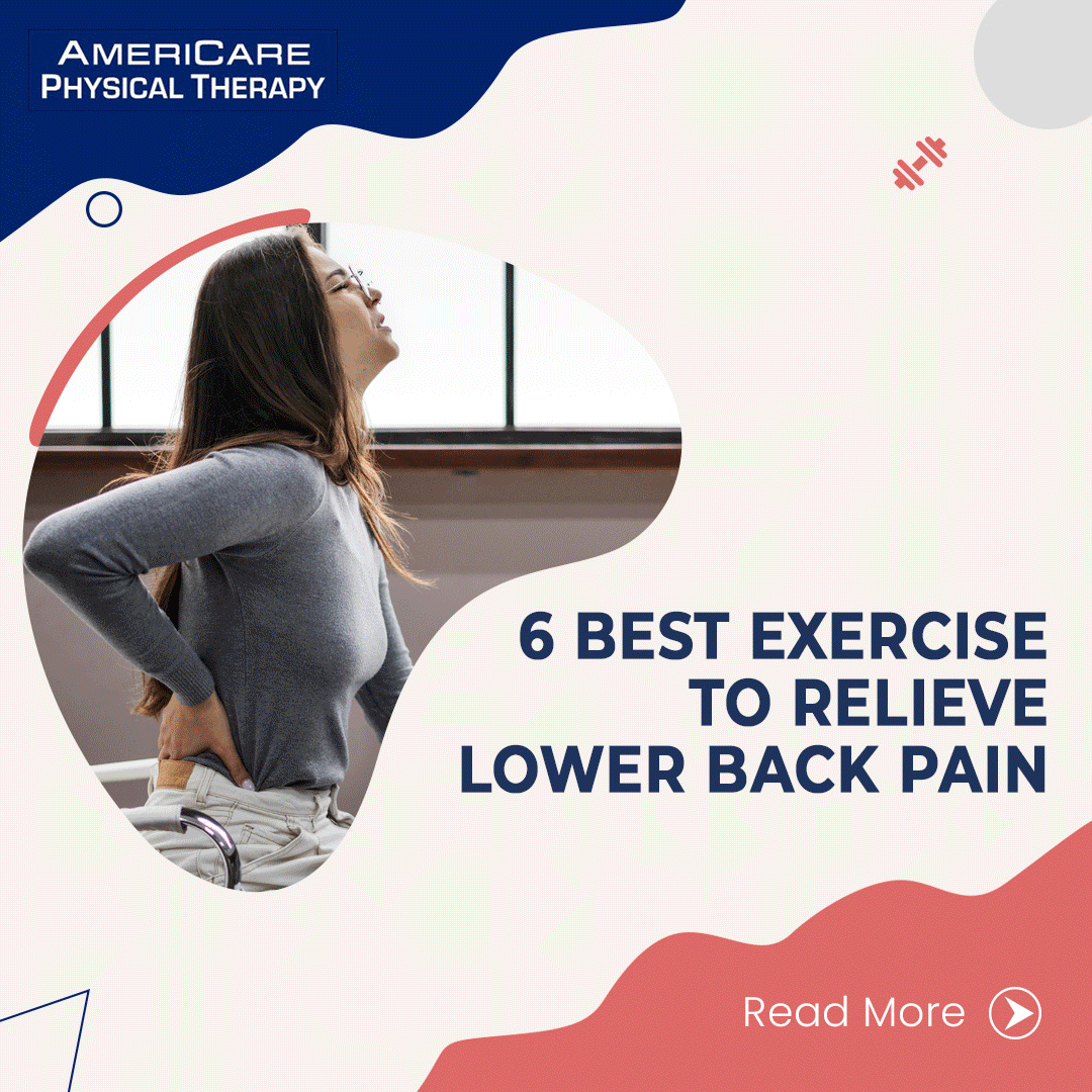 Best exercises to relieve lower back pain - AmeriCare Physical Therapy ...