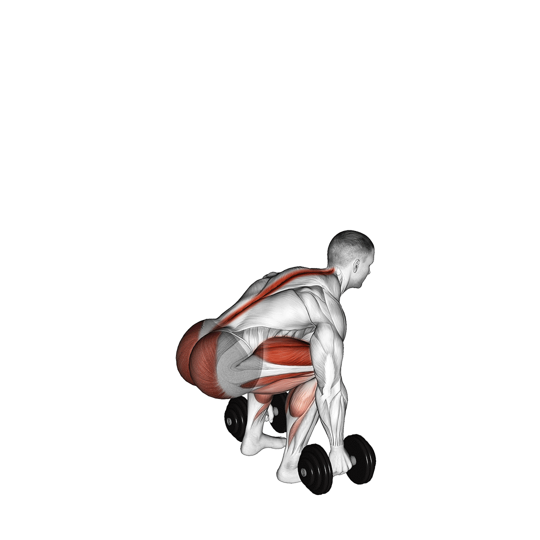 Mastering Hamstring Exercises: A Comprehensive Guide | by ...