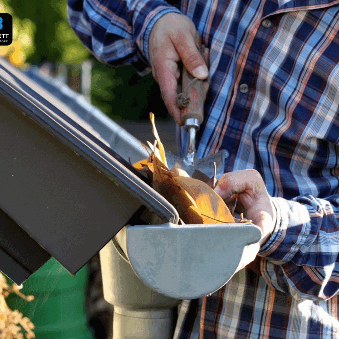 Expert Gutter Cleaning Services in Tacoma | Keep Your Gutters Clean ...
