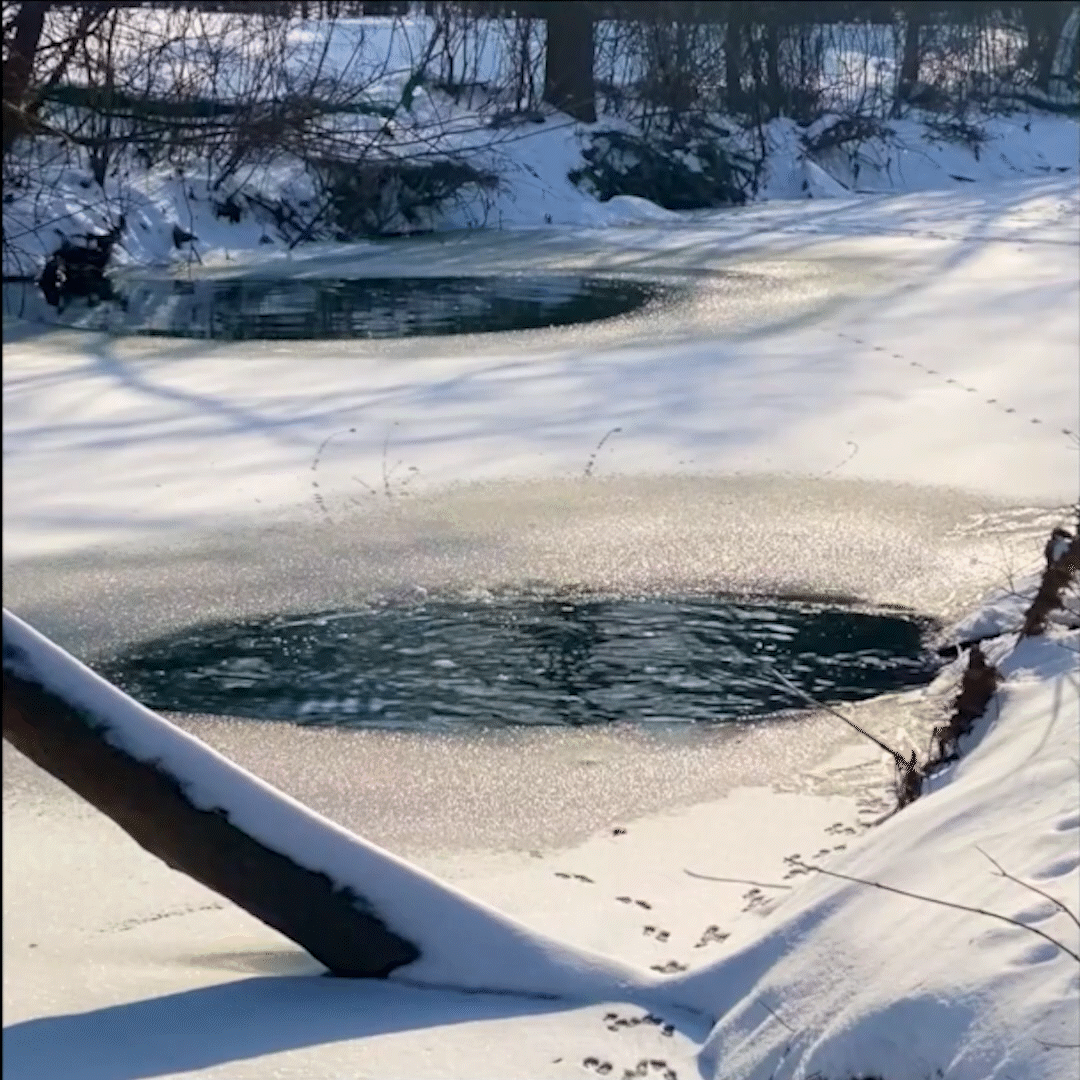 Take The Plunge! Do You Prefer a Cold Water Shower or An Ice Bath? | by ...
