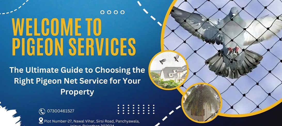 Welcome to Pigeon Net Service: Your Ultimate Solution for Bird Control ...