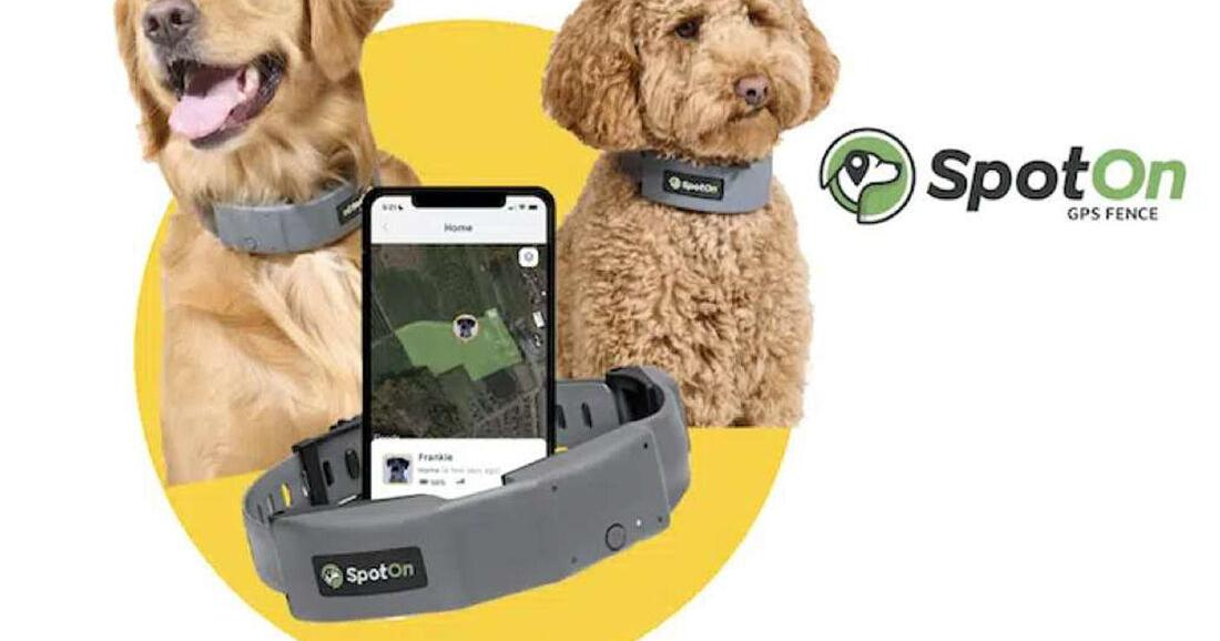 SpotOn Fence Reviews [2024]: Essential Information You Should Consider ...