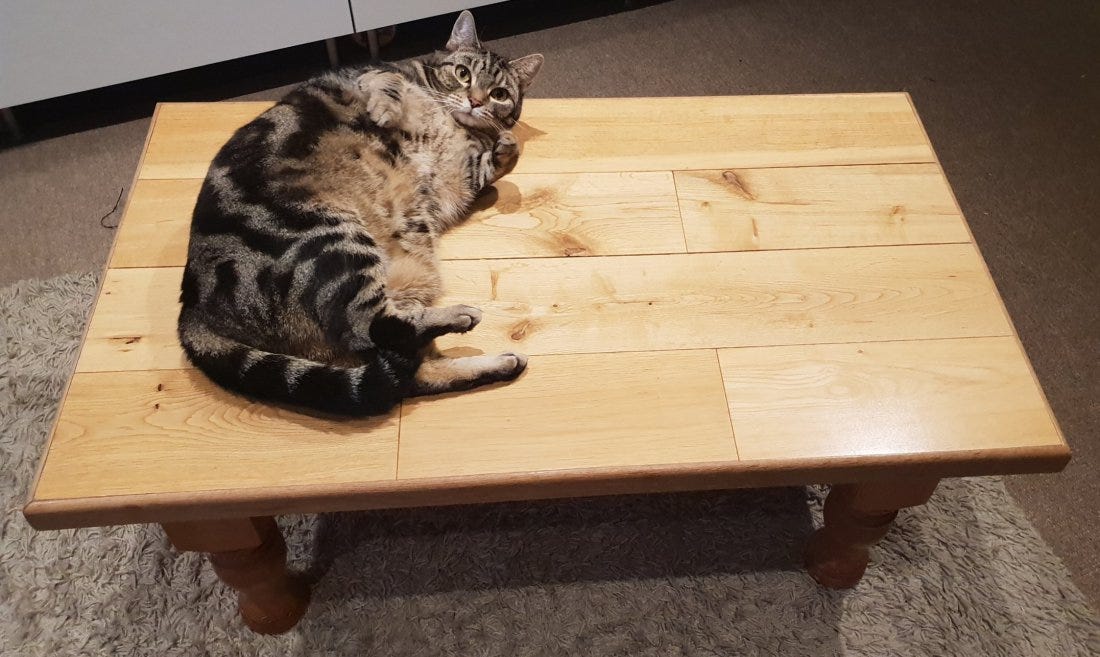 Do it yourself. By Charlie Puleston — member of the… | by Corcovado ...