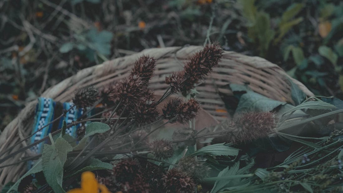 Embracing Mayan Spiritual Practices for a Balanced Life | by The Mayan Wisdom Project | Medium