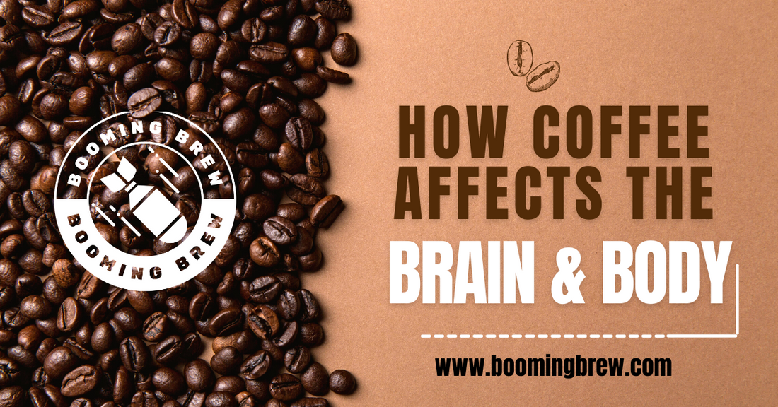 How Coffee Affects the Brain & Body | by Booming Brew | Medium