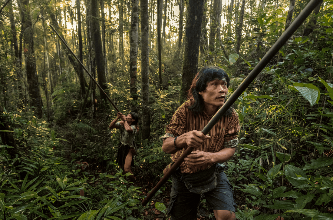 The Penan Tribe’s Fight for Conservation and Indigenous Rights: A ...