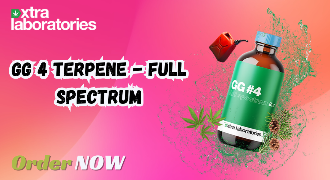 GG4 Terpenes Full Spectrum | Xtra Laboratories | Medium