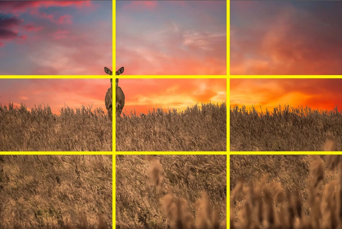 Composing with Crop Guide Overlays: When to Use Them | by Anthony ...