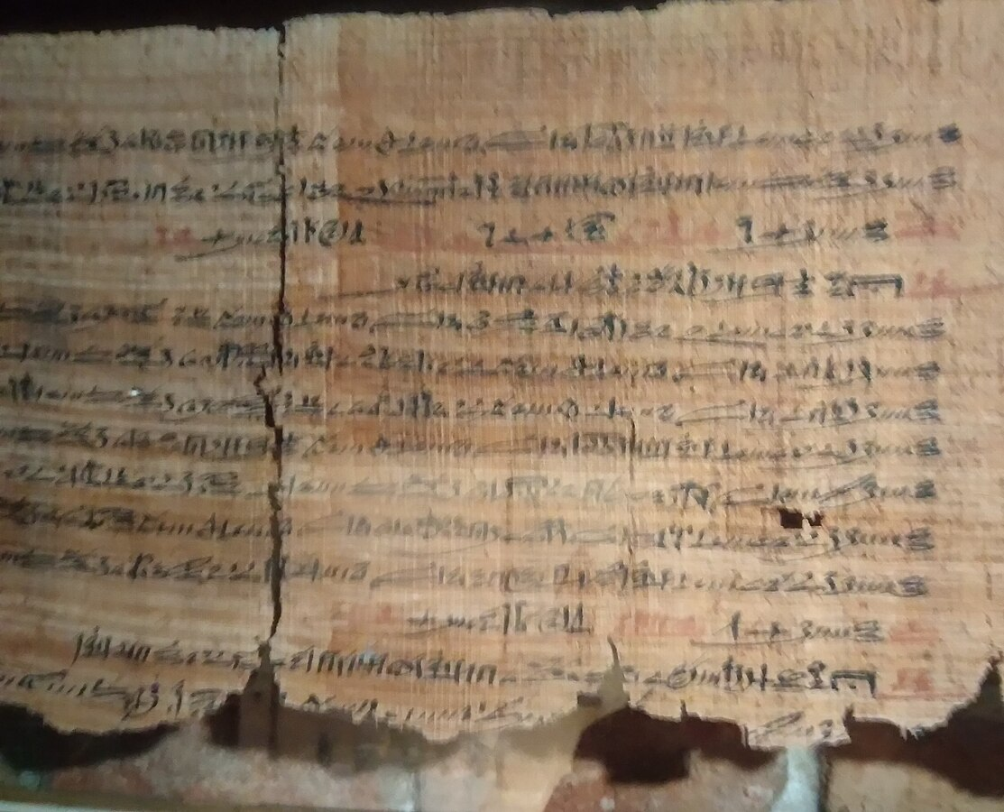 Plants to Paper: A Vegetarian History of Paper | by Danielle Herring ...