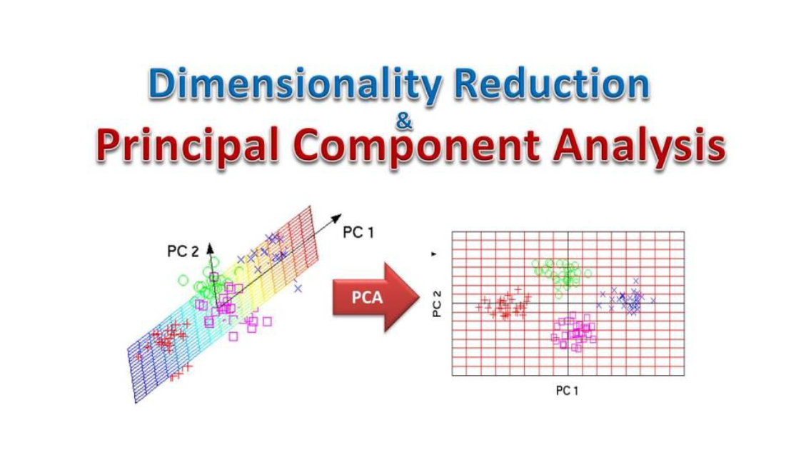Dimensionality Reduction using Principal Component Analysis (PCA) | by ...