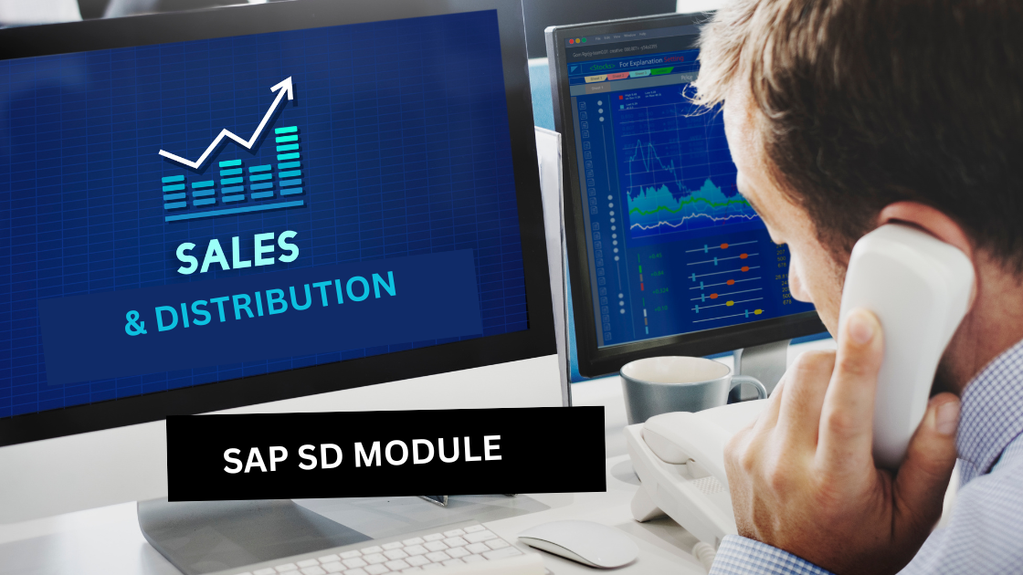 A Brief Overview of SAP SD Module | by Bestonlinecareer | Feb, 2024 ...