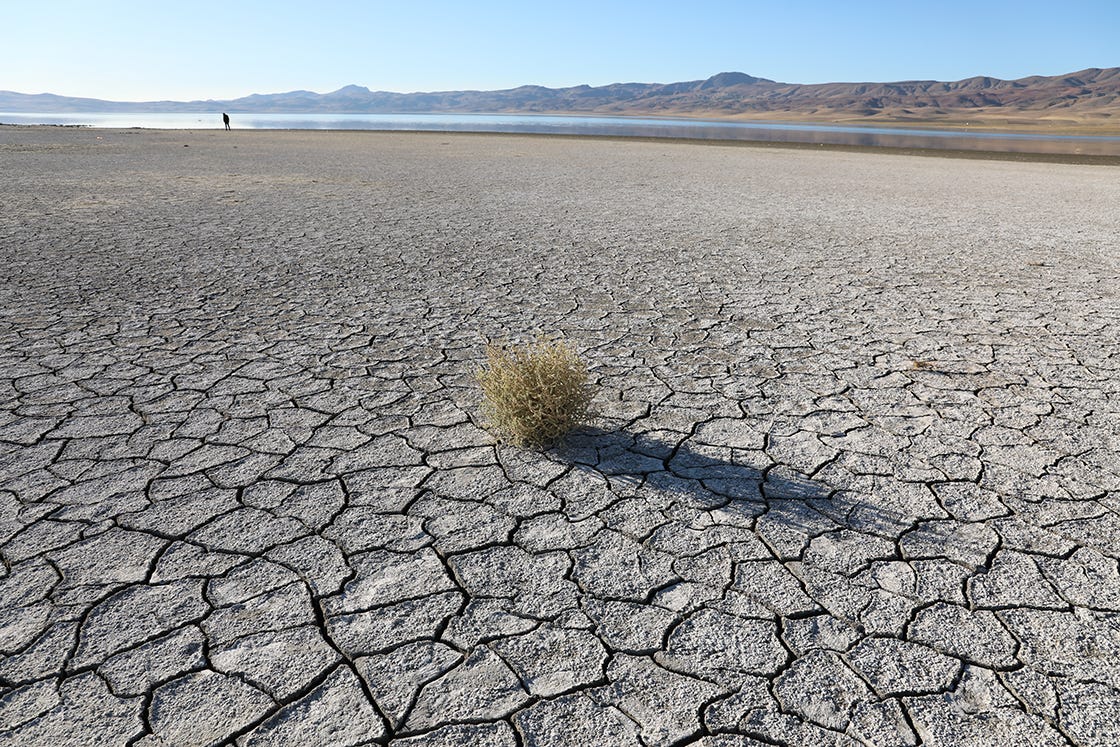 Changing Water Body Habitats in Turkey | by RC SEIC Office | Medium