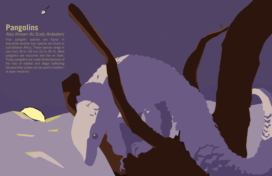 Animal Animation Project. Because of the complexity of my animal… | by ...