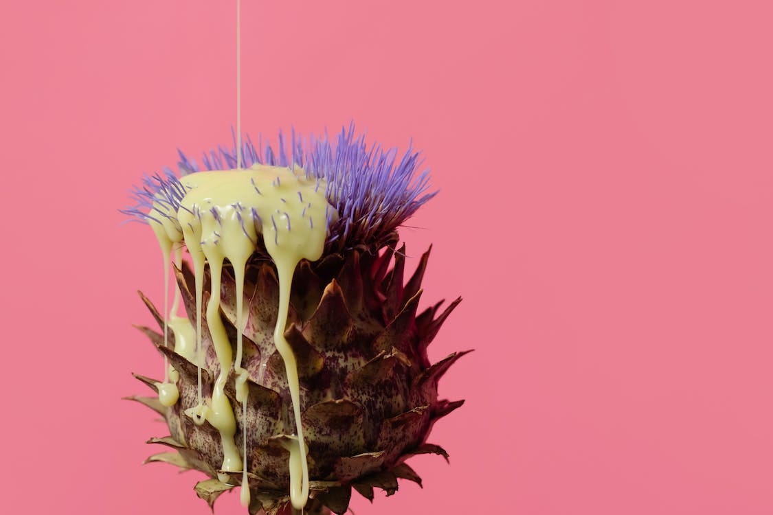 Slime Breeder. Erotic short. An elf is used as a… | by Johannes T ...