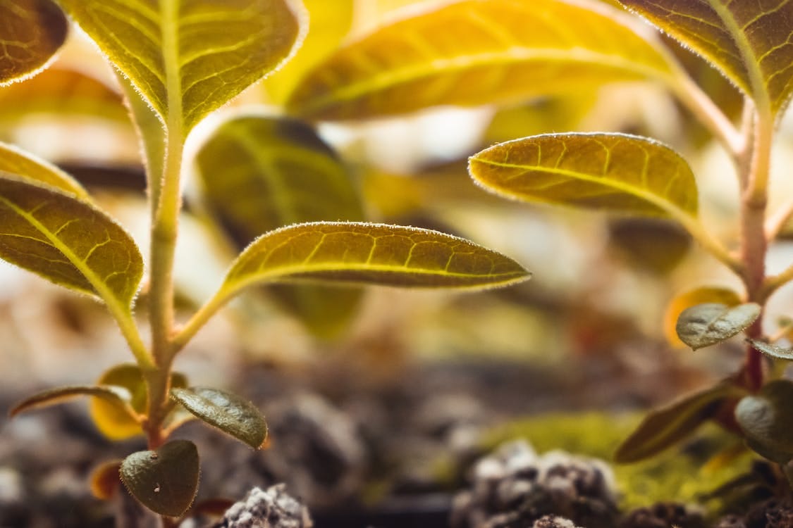 Be Grateful For Ex-Partners & Ex-Friends | by Destiny S. Harris ...