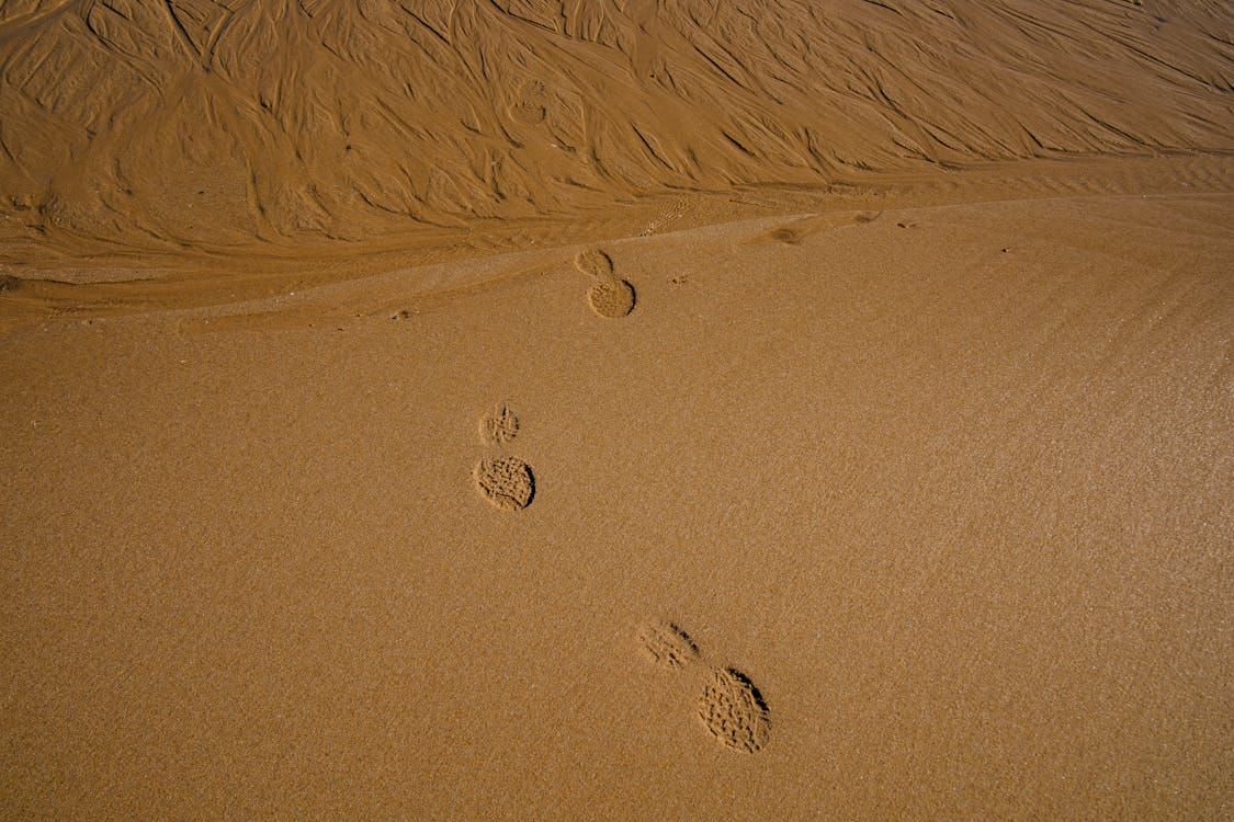Soft Footprints, Lasting Impressions | Medium