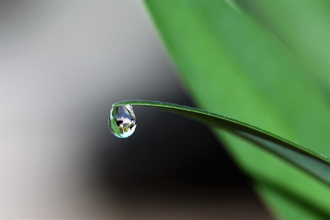 “Calm Me Down” (A Poem About Finding God’s Peace) | by Dallin Candland ...