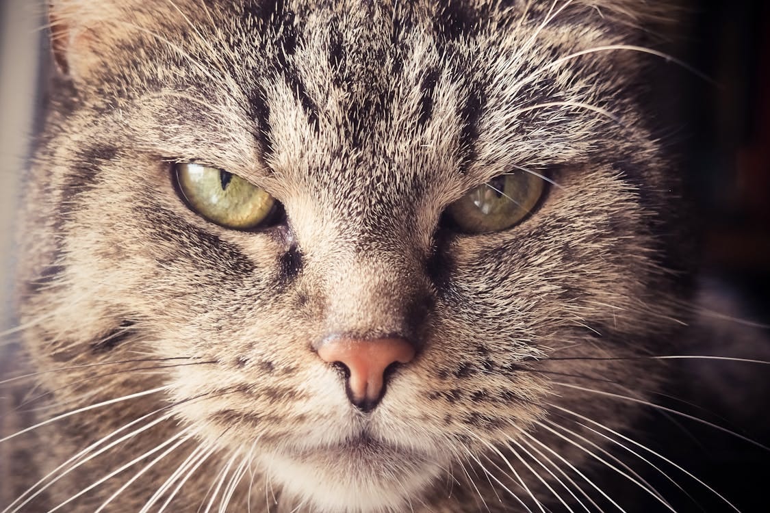 The Five Most Annoying Words Someone Can Utter to You | by Lucas A ...