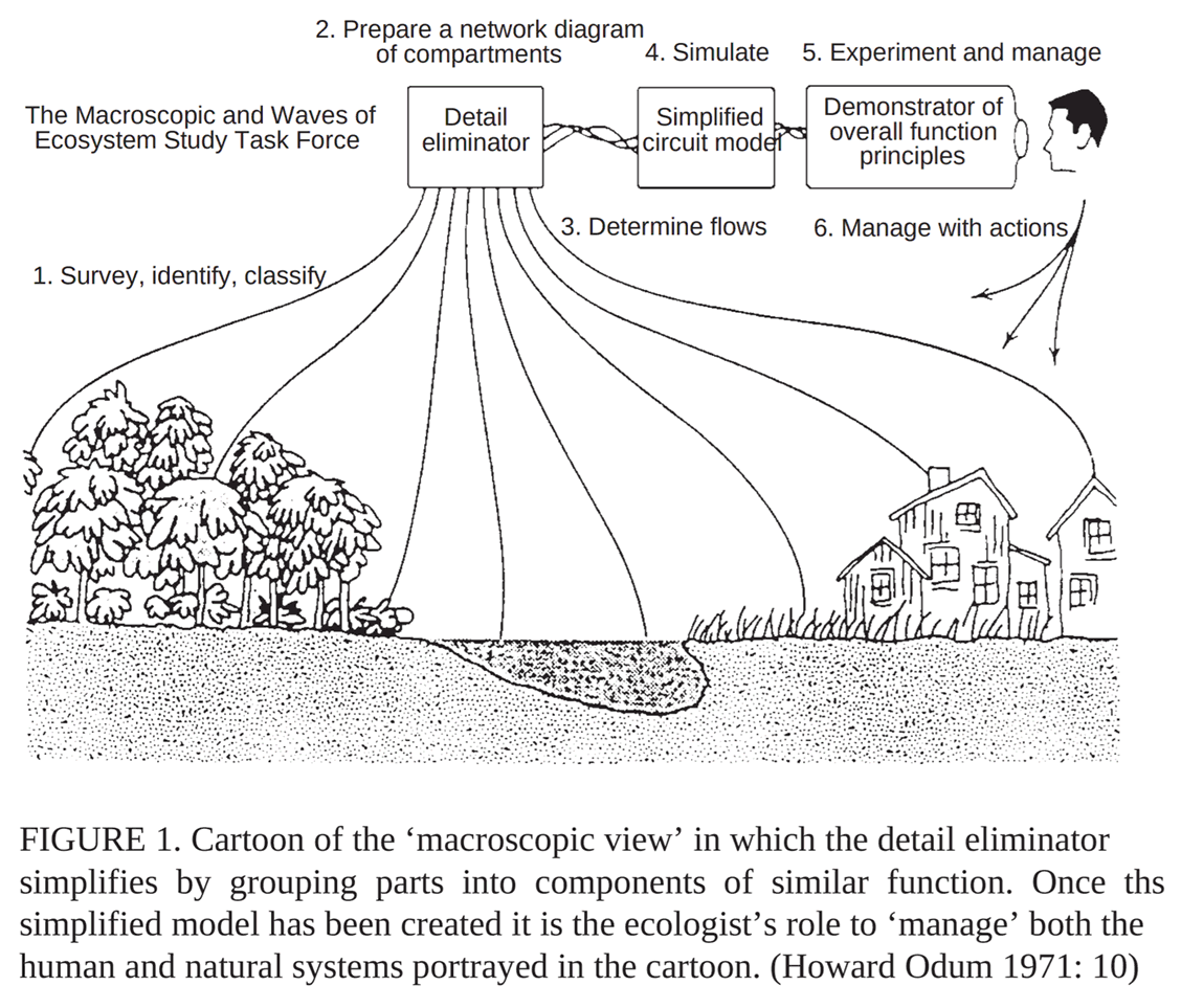 Environment, Power, and Society. Understanding basics | by Eric Lee ...