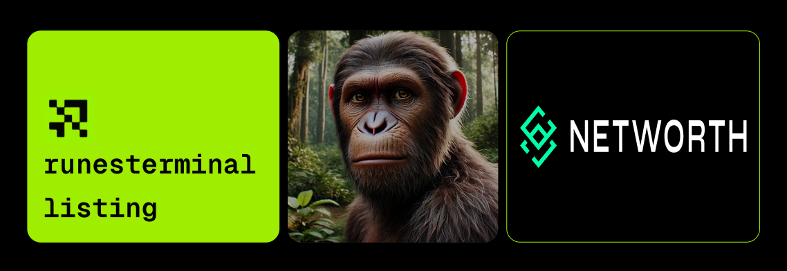 Networth: Your Portal to the Runes Ecosystem | by Runesterminal | Jul ...