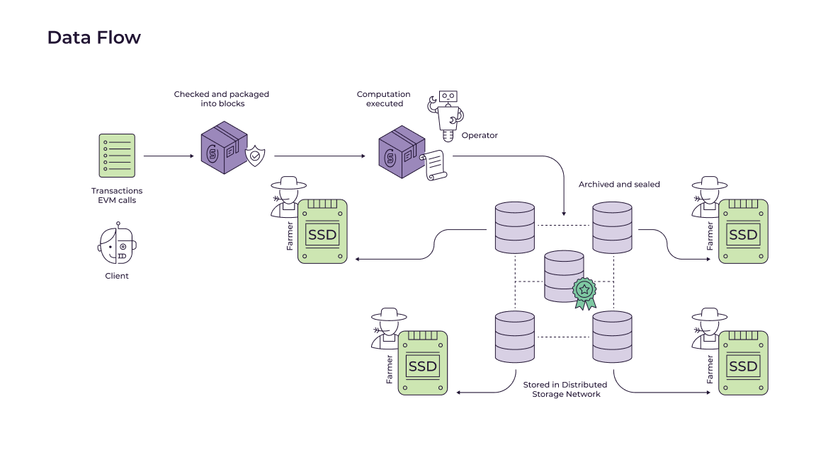 Subspace Ecosystem: A Guide for Domain Operators and Developers | by ...