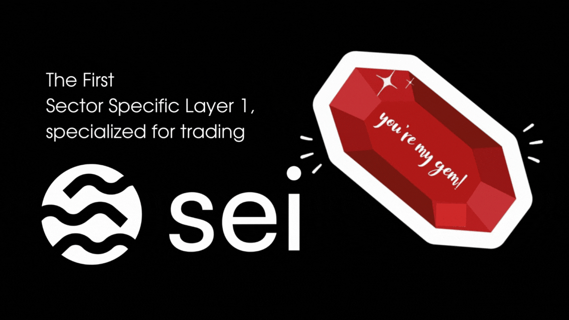 Don’t skip it! 💎 How to take part in Sei Ambassador Program? | by Oksigen | Medium