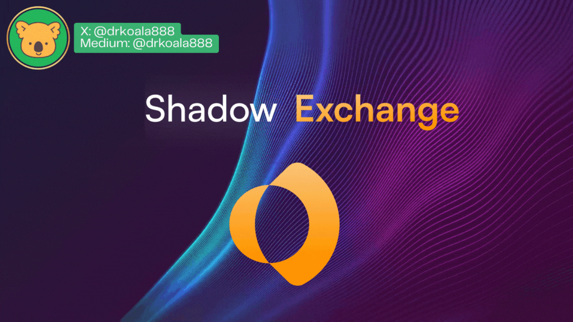 SE.1 — Introducing Shadow Exchange | by Dr. Koala | Jun, 2025 | Medium
