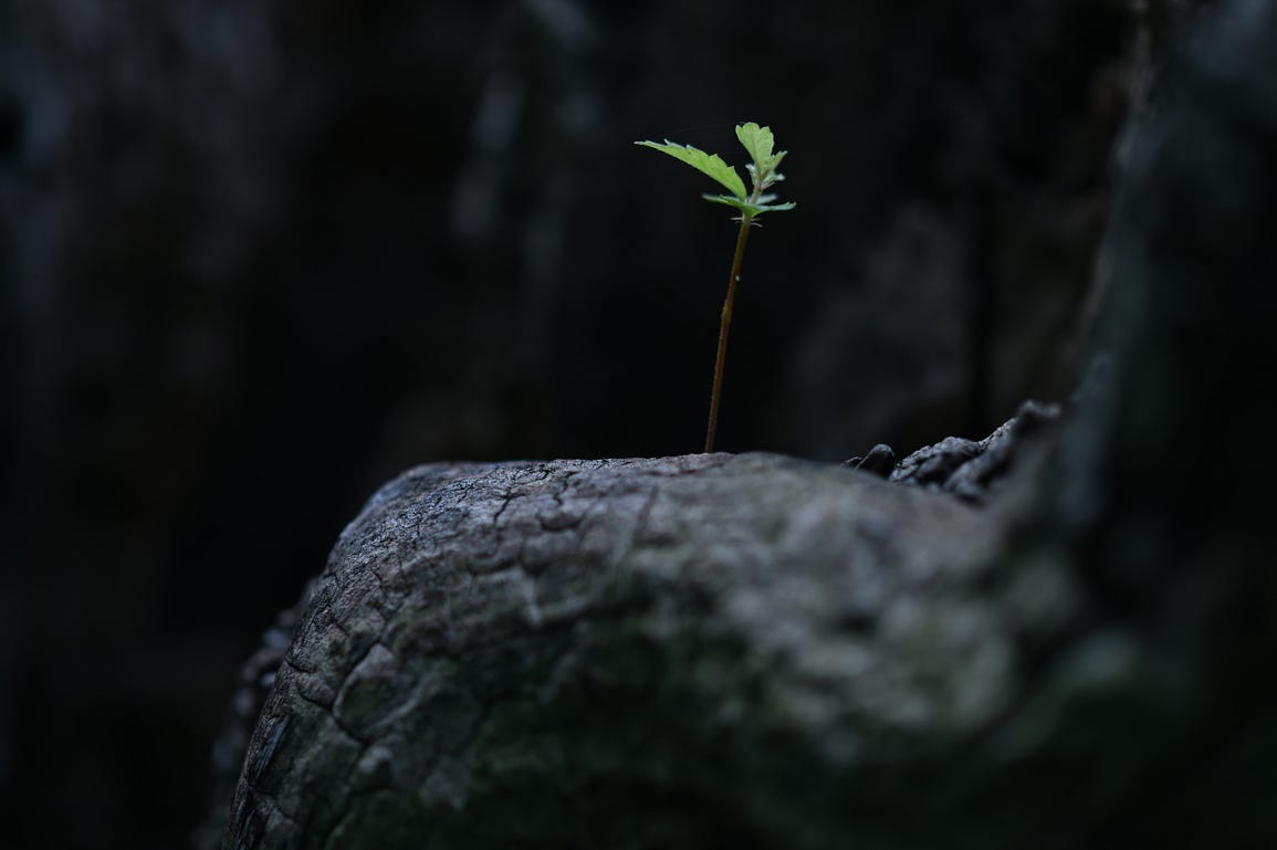 Hope Is Hard. Unraveling the Complexity When Hope is… | by colo xoxo ...