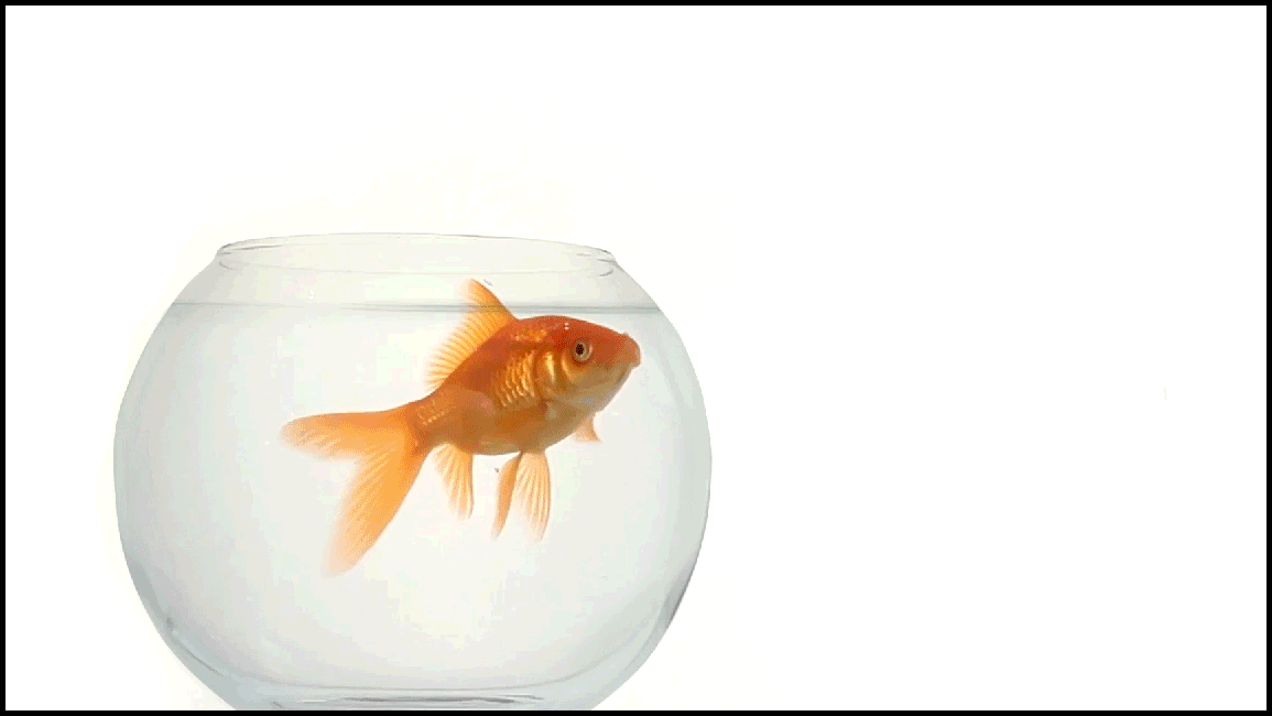 Creatives: How to Earn Passive Income | by Nic Kocher ...