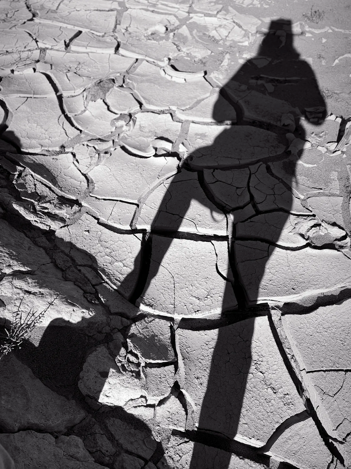 The most moving essay I’ve ever read | by The Medium Newsletter | The Medium Blog | Medium