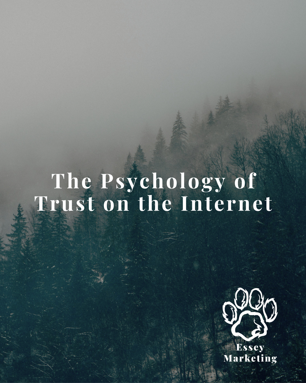 The Psychology of Trust on the Internet | by Chris Essey | Dec, 2025 ...