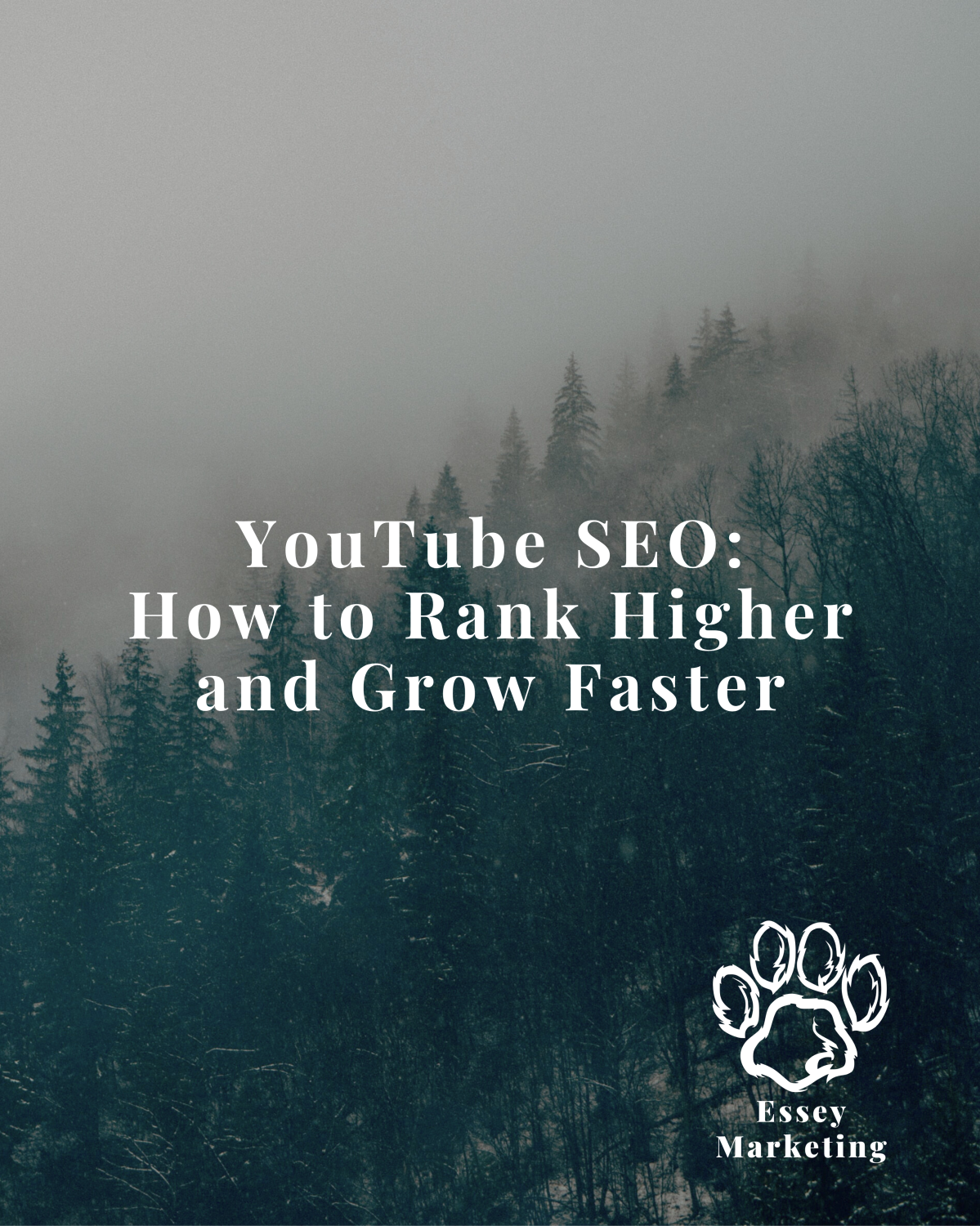 YouTube SEO: How to Rank Higher and Grow Faster | by Chris Essey | Medium