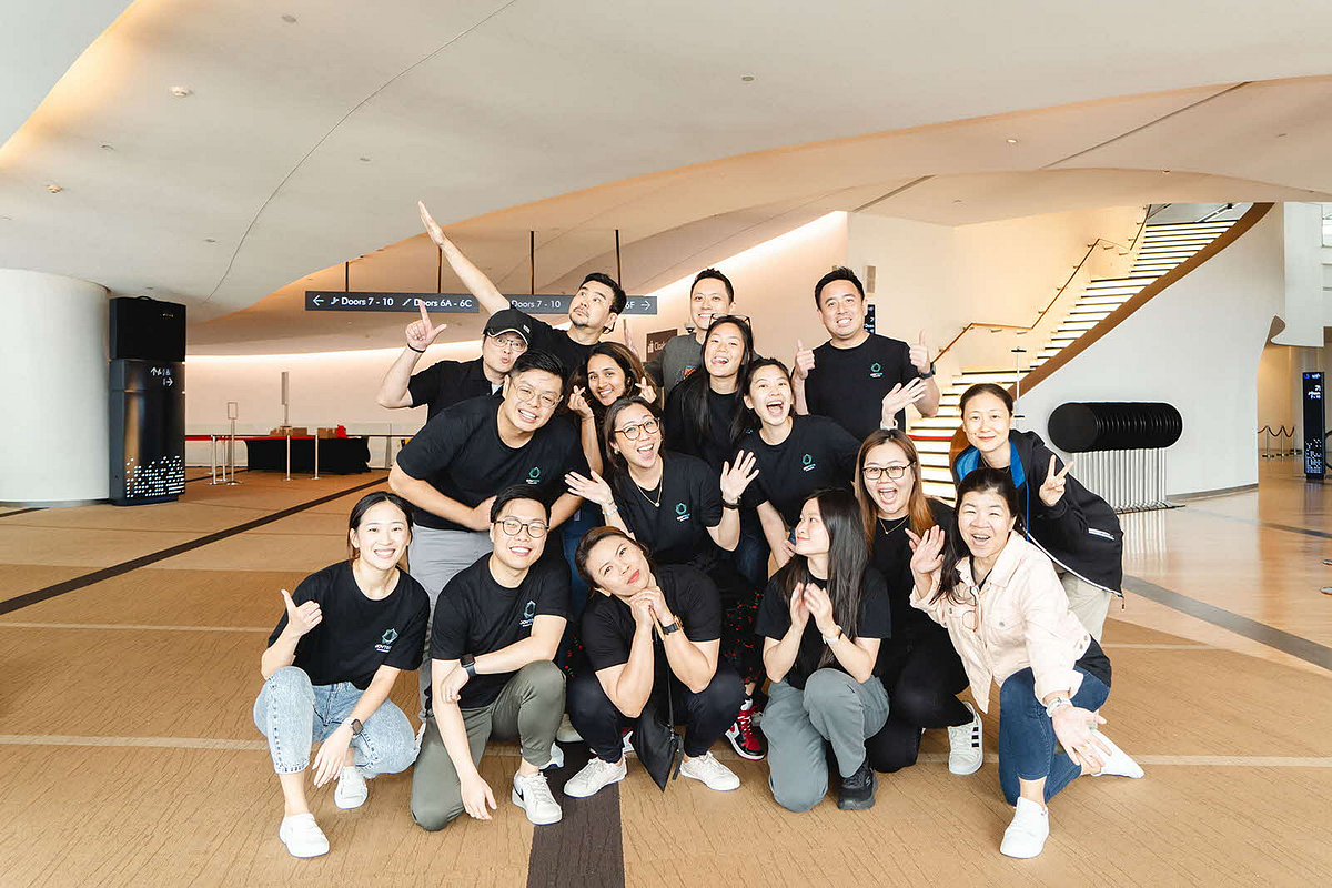 Experiencing Leadership and Organisation Development as Interns in ...